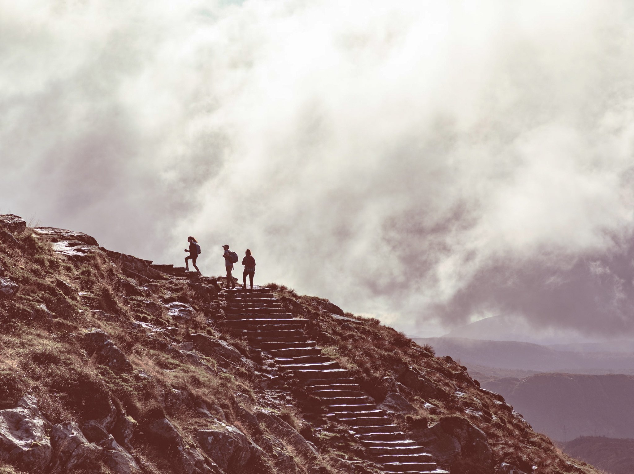 Styrerekruttering og lederutvelgelse